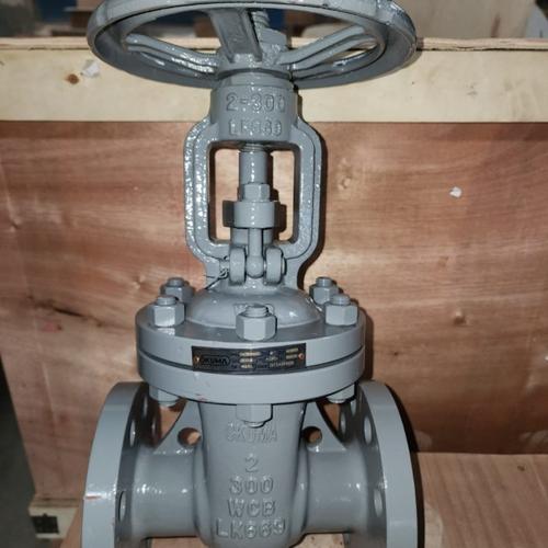 Jual GATE VALVE WCB ANSI 300 UKURAN 6" INCH / CARBON STEEL # 300 ...