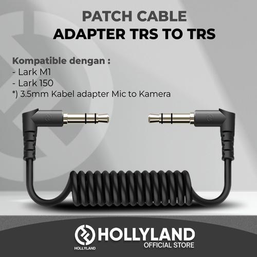 Jual Hollyland Mic Adapter 3.5mm TRS to TRRS / Lightning / Type C ...