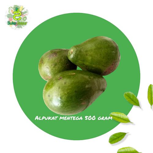 Jual alpukat mentega sultan super dari NTT 500 gram segar - Kota ...