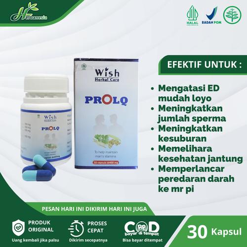 Jual Prolq Kapsul Dr. Boyke Suplemen Multivitamin Untuk Pria - 30 ...