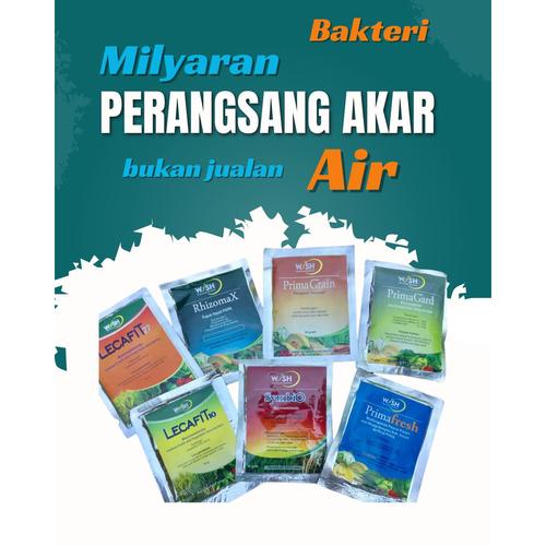 Jual PGPR Pupuk Hayati Organik Rhizomax Prang sang Akar Tanaman Bakteri ...