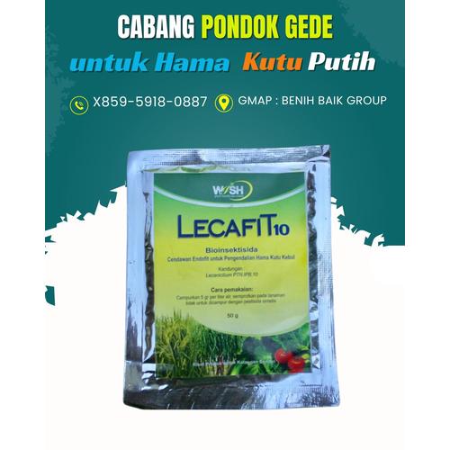 Jual BioInsektisida Lecafit10 50 gram pengendalian Hama Kutu Kebul ...