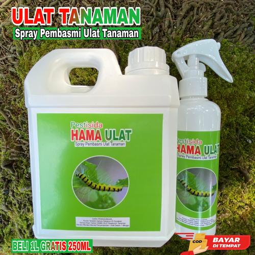 Jual PESTISIDA Spray Pembasmi Hama Ulat Tanaman | Ulat Bulu | 1 LITER+ ...