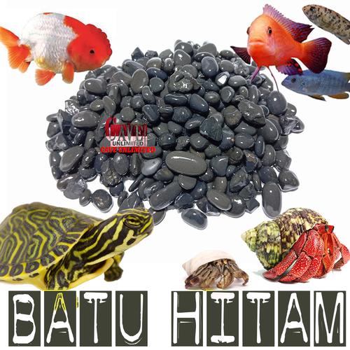 Jual BATU CORAL HITAM ALAS KANDANG REPTILE KURA AIR HIASAN AQUARIUM ...