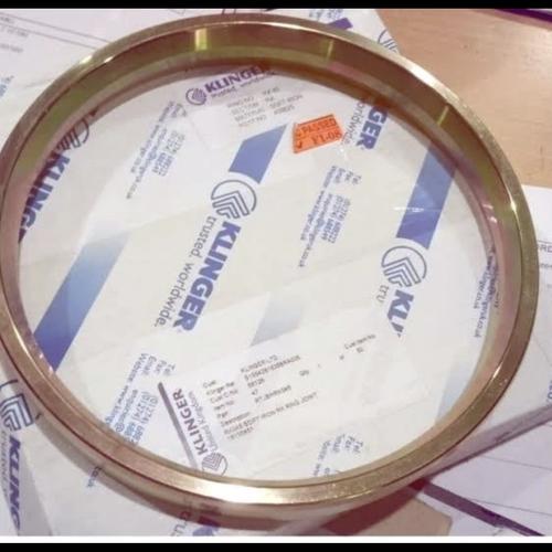 Jual Ring joint Gasket RTJ Octagonal Class R14 Soft iron Klinger ...