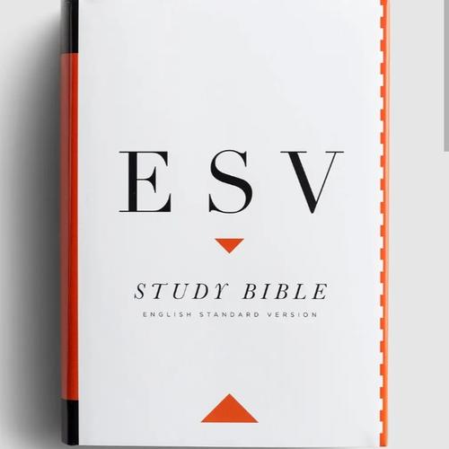 Jual ESV Study Bible LARGE PRINT Standard Size Hardcover Original ...