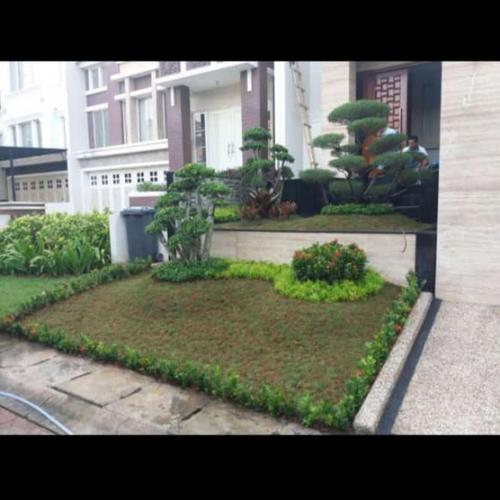 Jual decorasi pembuatan taman rumput di halaman rumah - Kota Tangerang ...