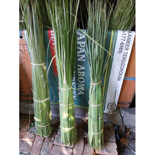 Promo Daun Janur Kelapa Cangkang Kulit Ketupat Muda - Jakarta Barat ...