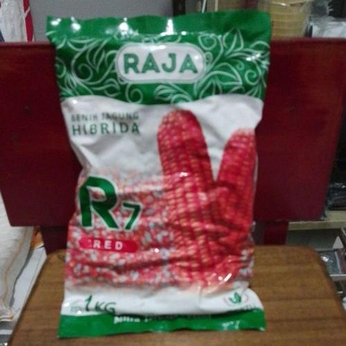 Jual Benih Jagung Hibrida R7 Red 1kg - Jakarta Barat - SumberBerkah Tani | Tokopedia
