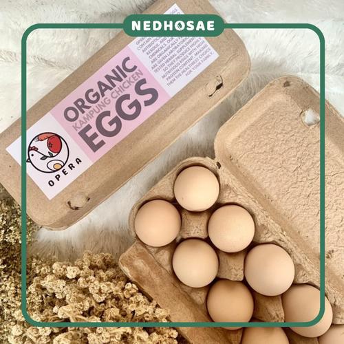 Jual Telur Ayam Kampung Organik - BROILER ORGANIK - Jakarta Timur ...