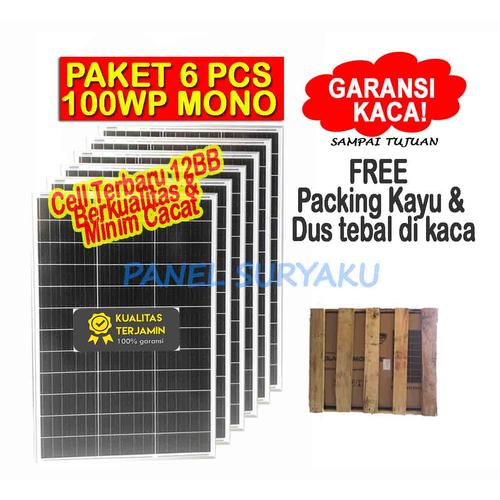 Jual Paket 6pcs Solar Panel Surya 100wp Mono FREE Packing Kayu ...
