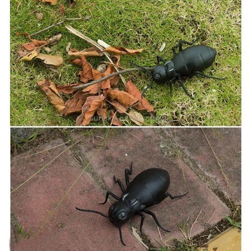 Jual BUZZBUGGY (Mainan Prank Kecoa/Semut Raksasa) - Jakarta Utara - All ...