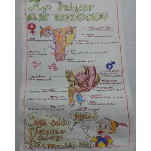 Jual Poster Manual Handmade A3 tugas prakarya kerajinan gambar lukisan ...