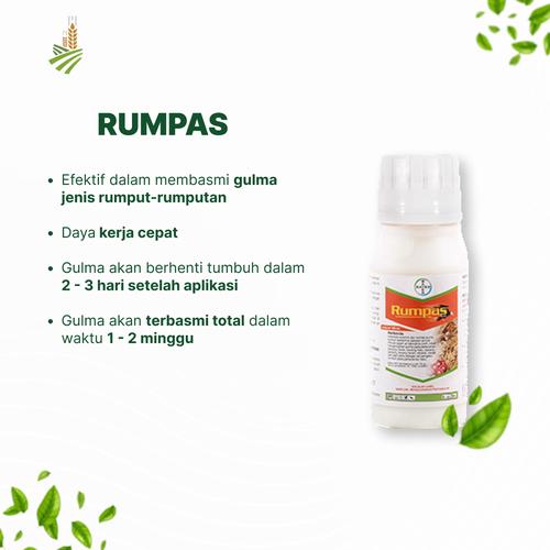 Jual Pembasmi Rumput Liar | Rumpas Herbisida Sistemik dan Kontak - 100 ...