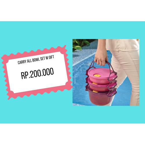 Jual Tupperware carry all bowl set - Kab. Tangerang - Jentan Shop ...
