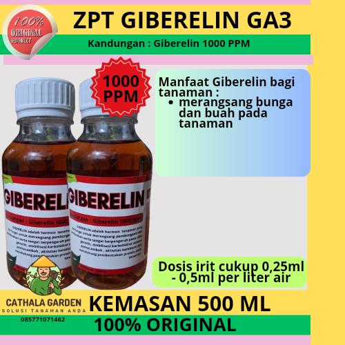 Jual ZPT HORMON GIBERELIN GA3 1000 PPM KEMASAN 500ML UNTUK TANAMAN ...
