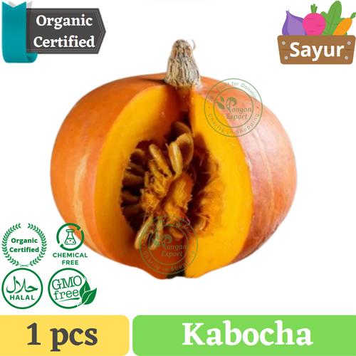 Jual Kabocha , Labu Jepang , Labu Baby Fresh - Jakarta Barat - Pangan ...
