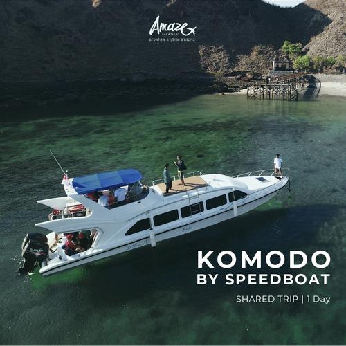 Jual Paket Tour Labuan Bajo || Shared Tour Komodo by Speed Boat - Kota ...