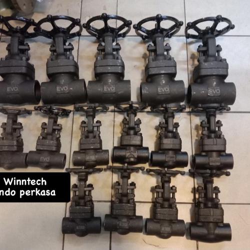 Jual Gate Valve Forged Steel #800 A105N CS SW/SCR 1 Inch - Jakarta ...