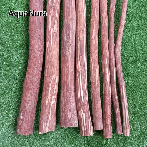 Jual kayu rasamala lurus kupas 50cm aquascape hardscape aquarium - ss ...