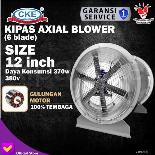 Jual Axial Fan CKE AXD-300/6/0.37/4-WO 12 Inch 370W 380V - Kota ...