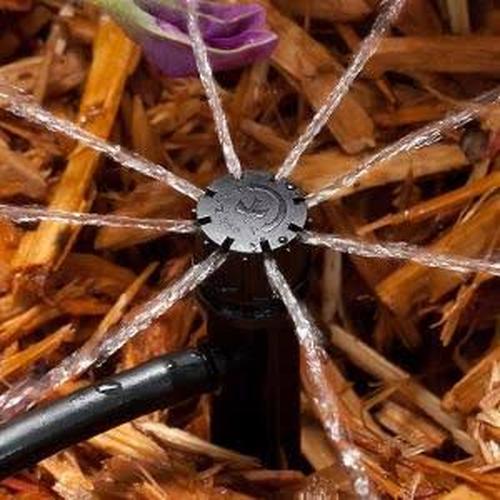 Jual Sprinkler Xeri Bubbler Rain Bird Landscape Irigasi Taman - Jakarta Pusat - Waterin.ID ...