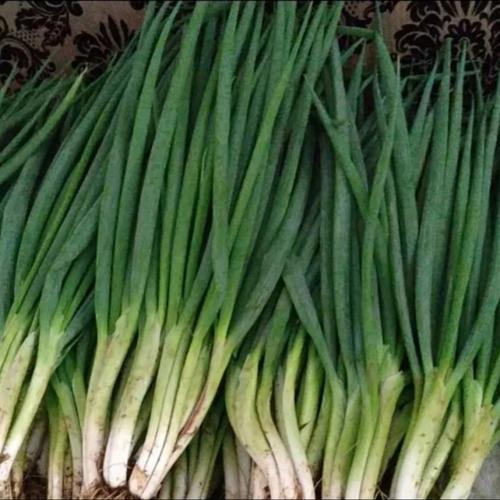 Jual Daun Bawang Segar 1 kg - 150 gram - Kota Tangerang Selatan ...