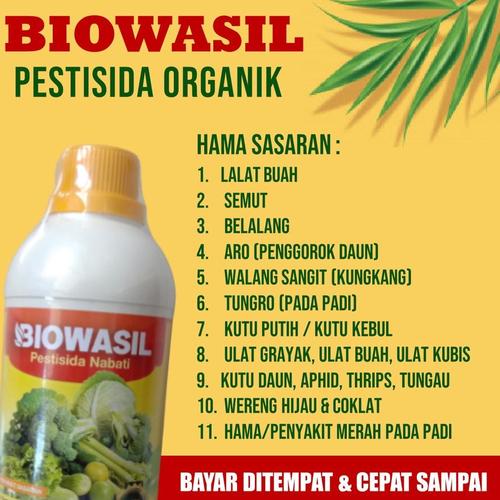 Jual Pestisida Semprot Kutu Putih Paling Manjur Semua Tanaman, Obat ...