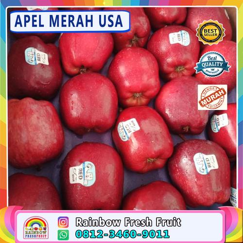 Jual TERBAIKK 1 KG APEL MERAH SEGAR DARI AMERIKA WASHINGTON DC - Kota ...