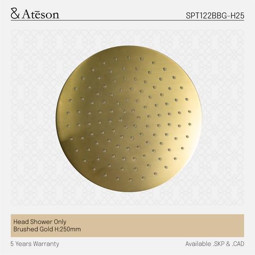 Promo ATESON SPT122BBG-H25 Kepala Shower Overhead Bulat Emas Cicil 0% ...