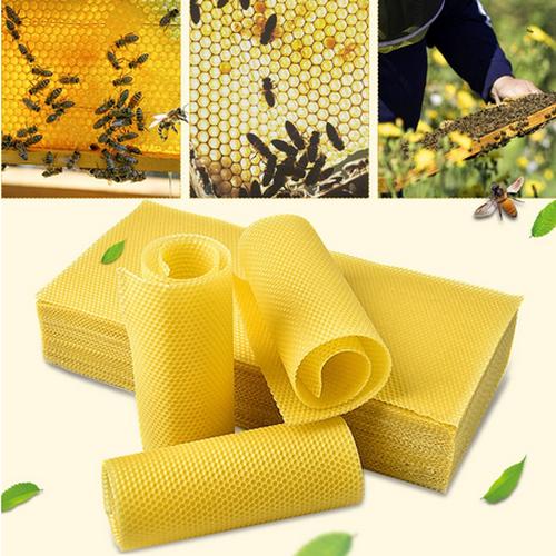 Jual 30 Lembar Bee keep Foundation Sheets/Honey Frame/Pondasi Sarang ...