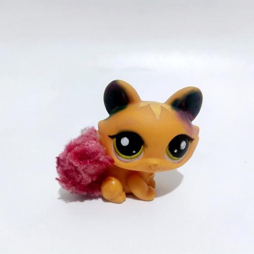 Jual LPS CAT Rare littlest pet shop kitten cat furry fluffy tail #2576 ...