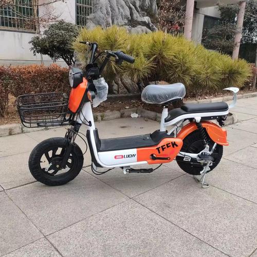 Jual Sepeda Listrik Motor 48V Sepeda Listrik Dewasa Sepeda Listrik ...