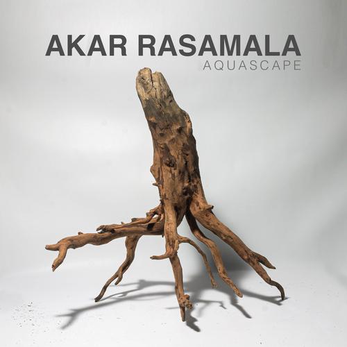 Jual Akar Kayu Rasamala Aquascape Aquarium - L - Kota Tangerang ...