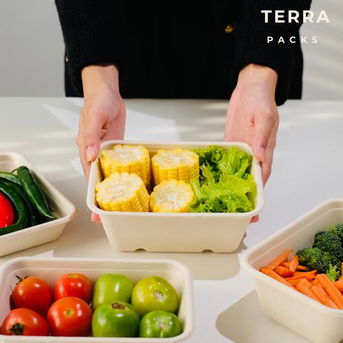 Jual Bagasse Rectangle 1000 Box Kotak Tempat Makan Transparan Lid Kekinian - Small Rect 1000 ...