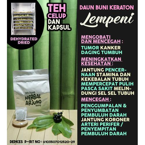 Jual Dehydrated Dried Teh Celup Daun Lempeni Buni Keraton Obat Tumor ...