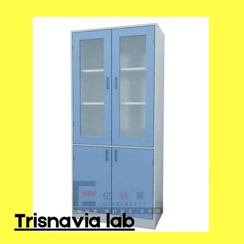 Jual Lemari penyimpanan Lab / lemari laboratorium - Kab. Bogor - Trisnavia Lab Store | Tokopedia
