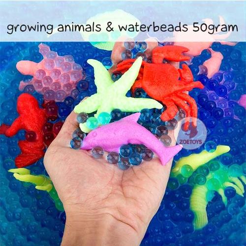 Jual shukaku Growing Animal High Quality / Hewan Hydrogel Orbeez ...