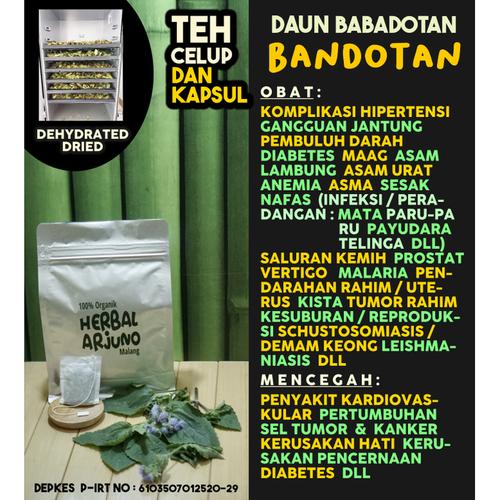 Jual Dehydrated Dried Teh & Kapsul Daun Bandotan Babadotan Obat ...