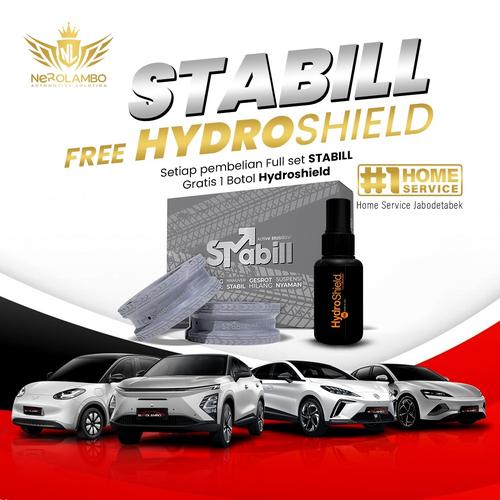 Jual Stabill Stabilizer/Spring Buffer/Damper BYD Seal Fullset - Jakarta ...