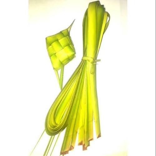 Jual Janur Kelapa Kuning 100 Batang / 200 Lembar Daun Kelapa Muda - Kab ...