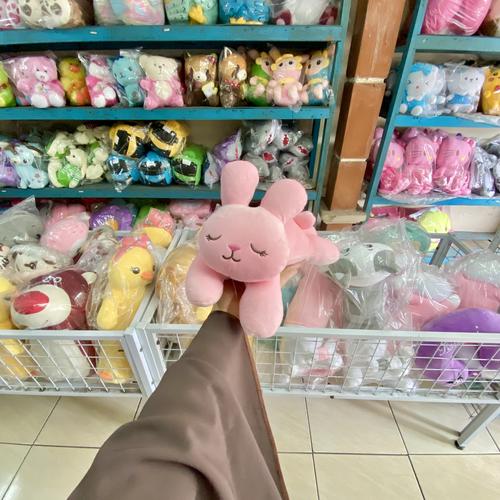 Jual BONEKA KARAKTER HEWAN BINATANG RABBIT VIRAL TIKTOK TARIK KOREA ...