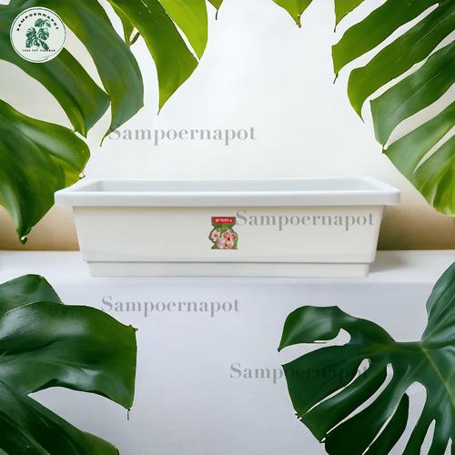 Jual Pot Bunga Tanaman Persegi Panjang Rectanguler S Lion Star - FP 12 ...
