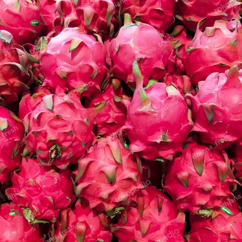 Jual Buah Naga Merah | Dragon Fruit Red | Naga Merah Super | 1kg ...