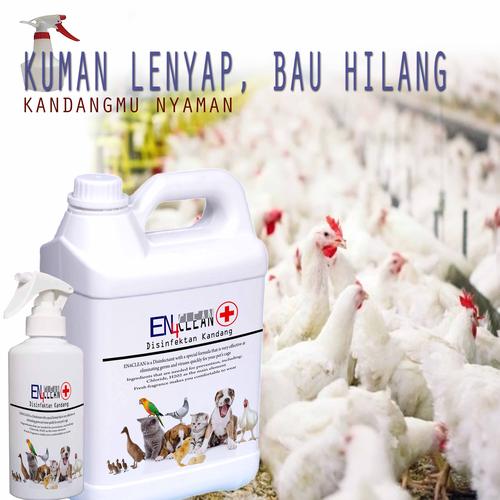 Jual EN4 Clean Disinfektan kandang Ayam dan lainnya 500ml sampai 5liter ...