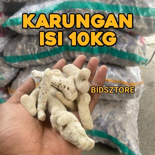 Promo 10kg Karang jahe Ph buffer media filter kolam koi dan aquarium ...