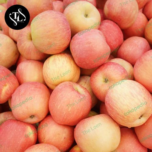 Jual APEL FUJI PREMIUM 1KG - Jakarta Selatan - The Loen | Tokopedia