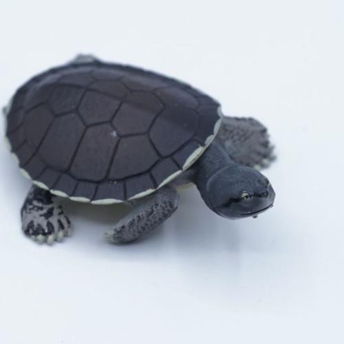 Jual Snake Neck Turtle Tortoise Kura Pajangan Koleksi Figure Binatang ...