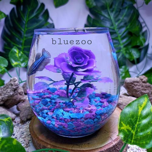 Jual Akuarium / Aquarium Mini Full Set Gratis Ikan Cupang Dekorasi ...