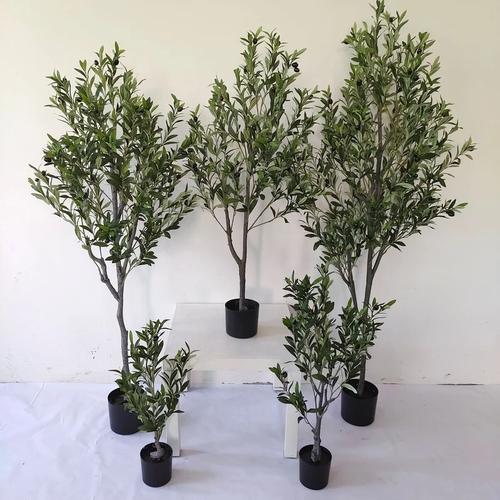 Jual Pohon Zaitun Penghias Ruangan / Artificial Olive Tree EB Home 2978 ...